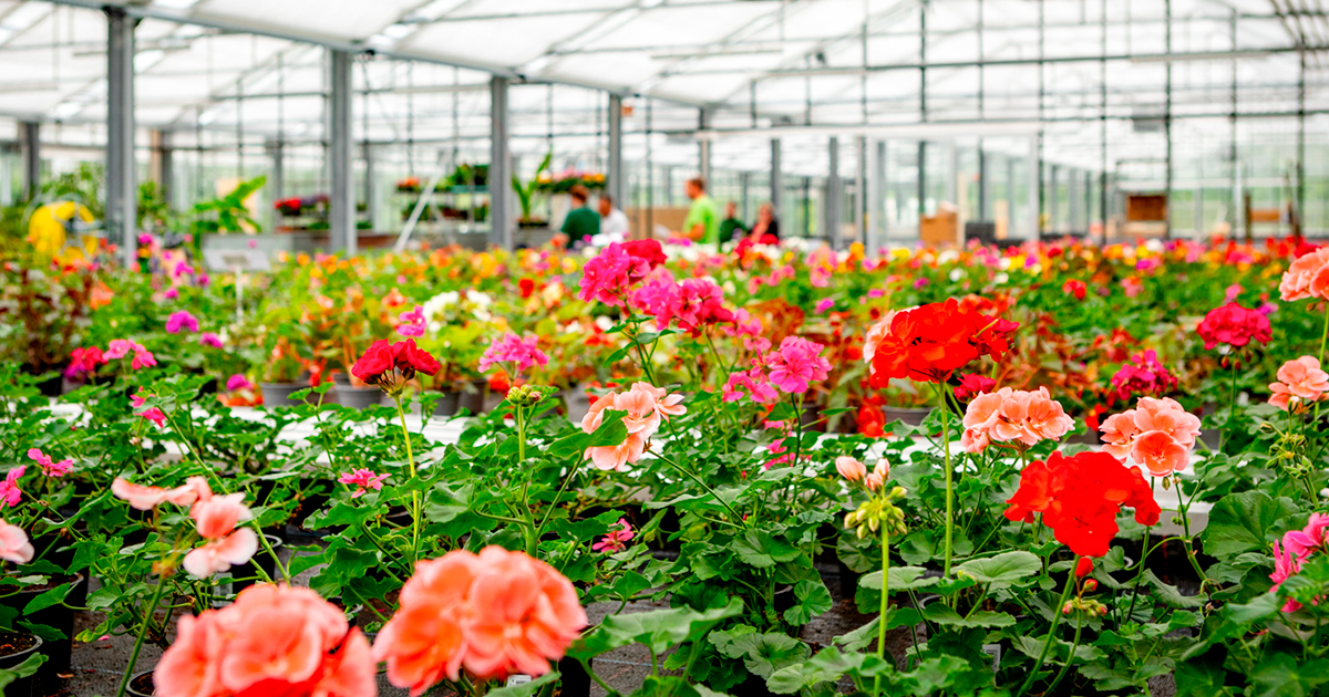 Floranum | Die Gärtnerei der Lebenshilfe Ingolstadt