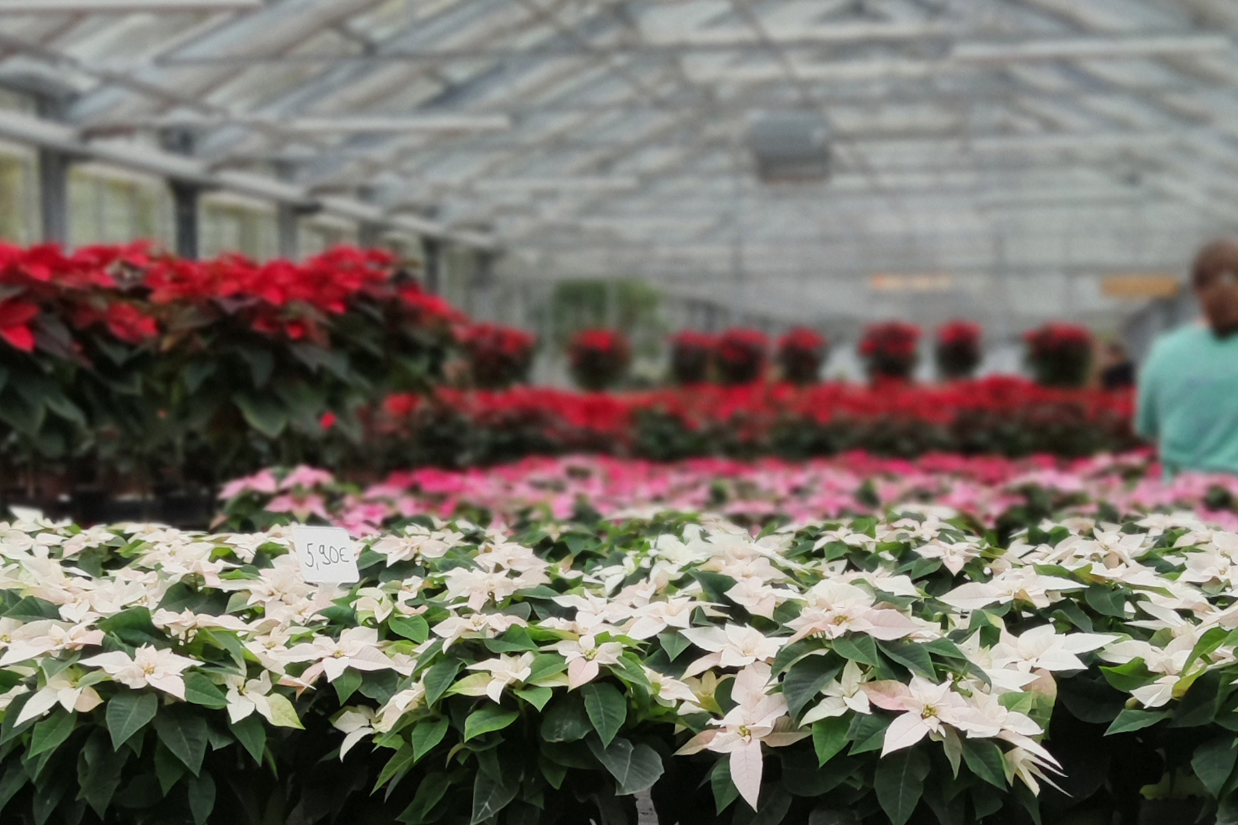 Floranum | Die Gärtnerei der Lebenshilfe Ingolstadt