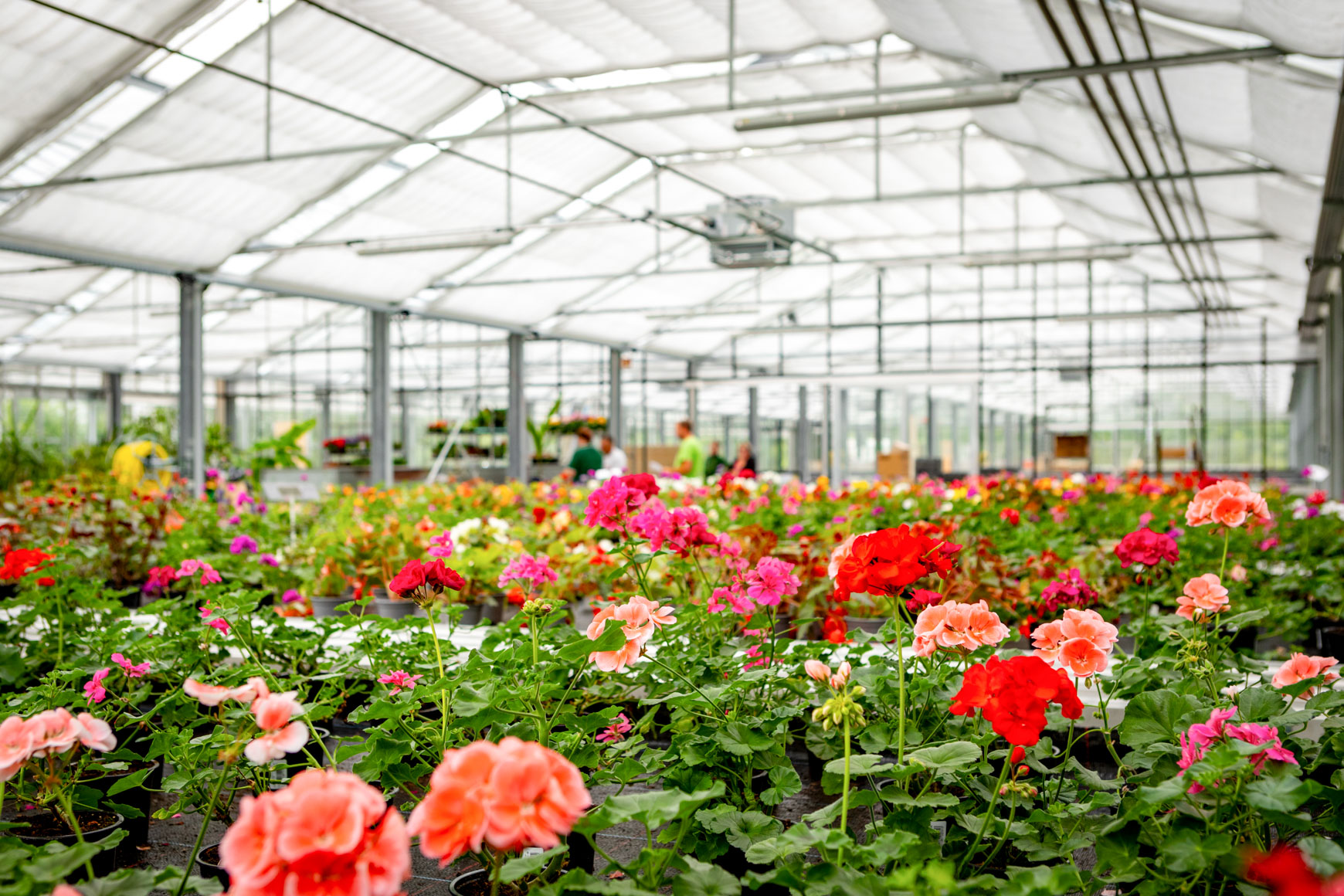 Floranum | Die Gärtnerei der Lebenshilfe Ingolstadt