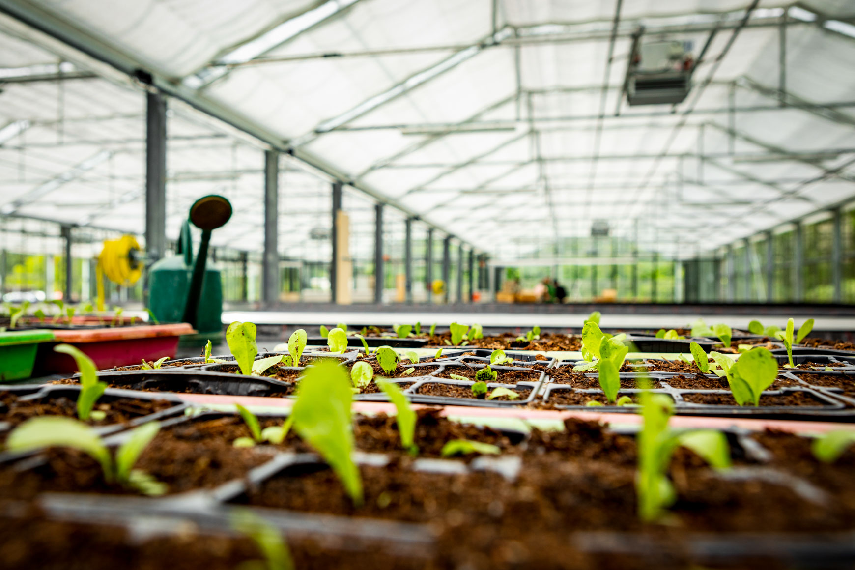 Floranum | Die Gärtnerei der Lebenshilfe Ingolstadt